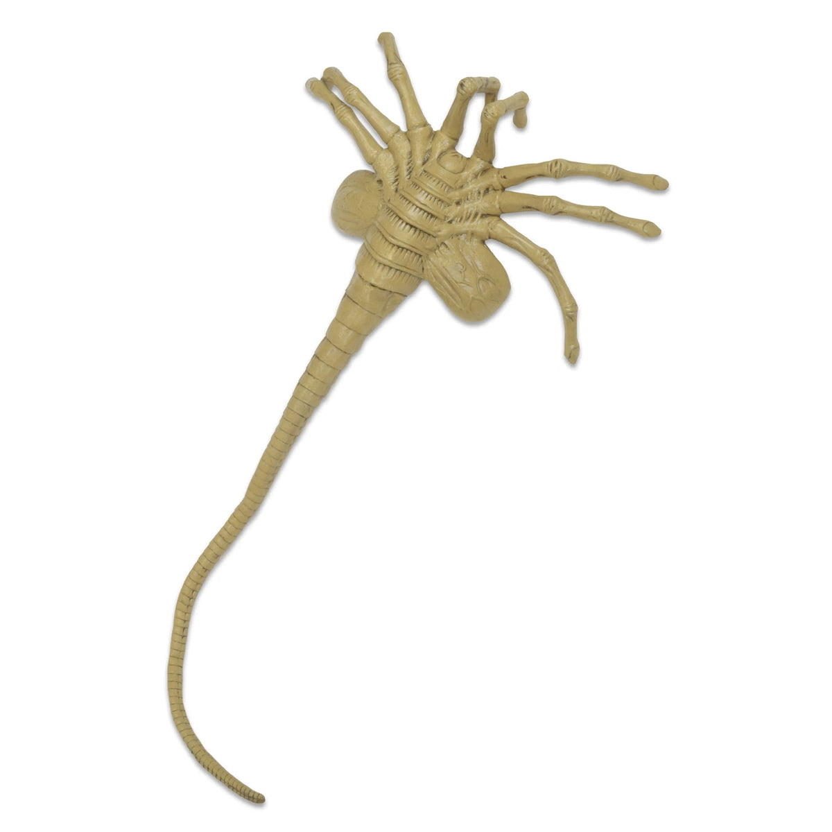 Neca Reel Toys Alien Facehugger Foam Replica | Gobsmack Comics